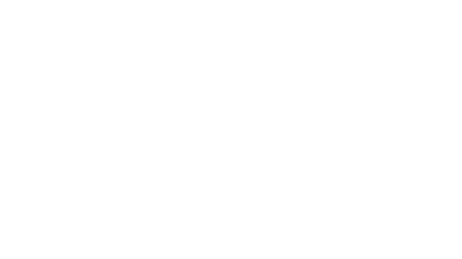 About | Pacific Point Your Salesforce Consulting Partner